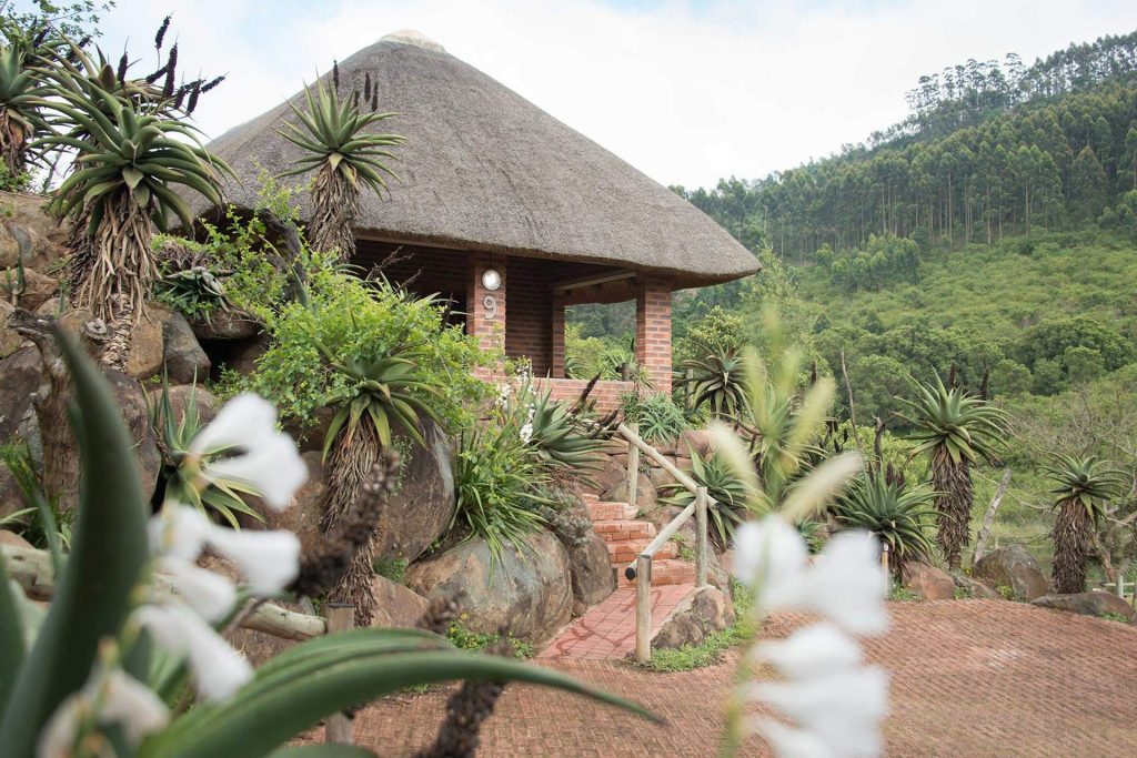 accommodation - iNsingizi Bush Lodge and Spa KZN