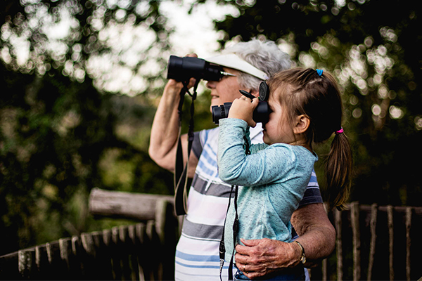 iNsingizi birding 2 - iNsingizi Bush Lodge and Spa KZN