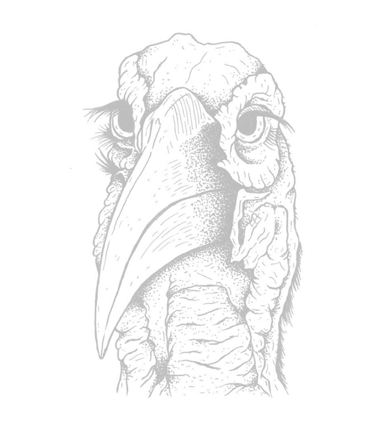 Tales - iNsingizi Bush Lodge and Spa KZN