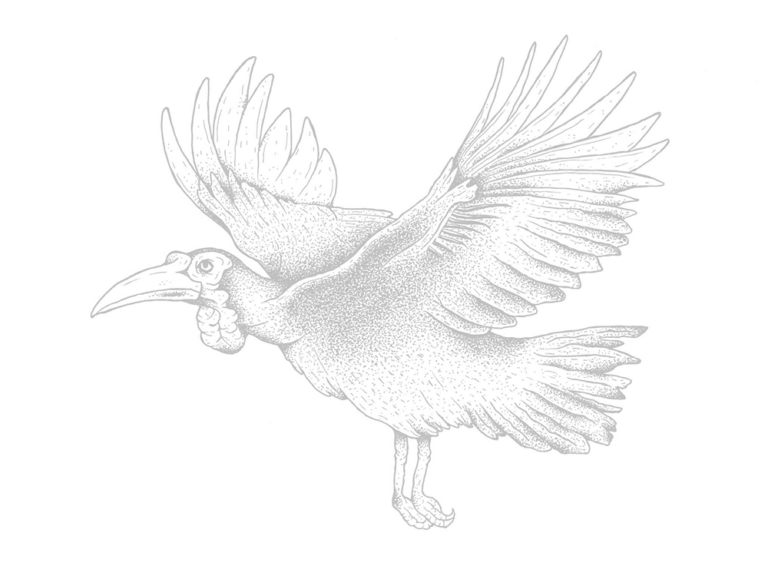 iNsingizi Lodge & Spa in Kwazulu Natal