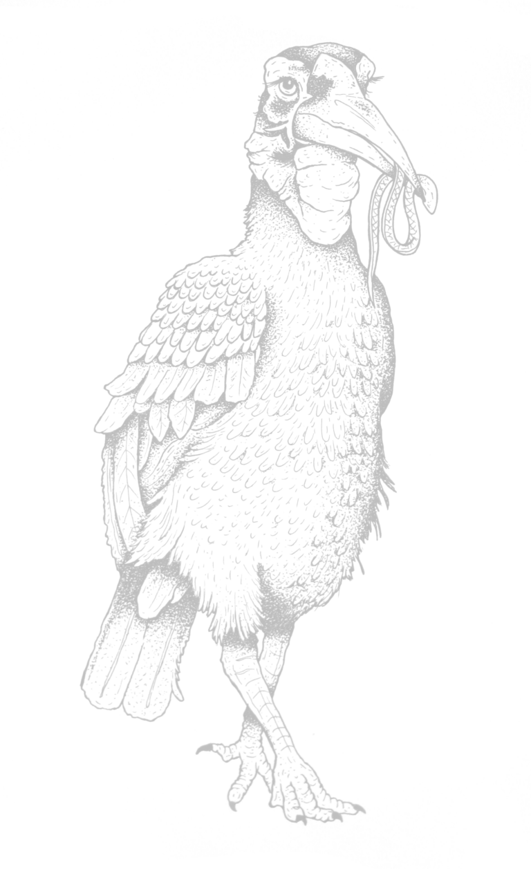 Do - iNsingizi Lodge and Spa