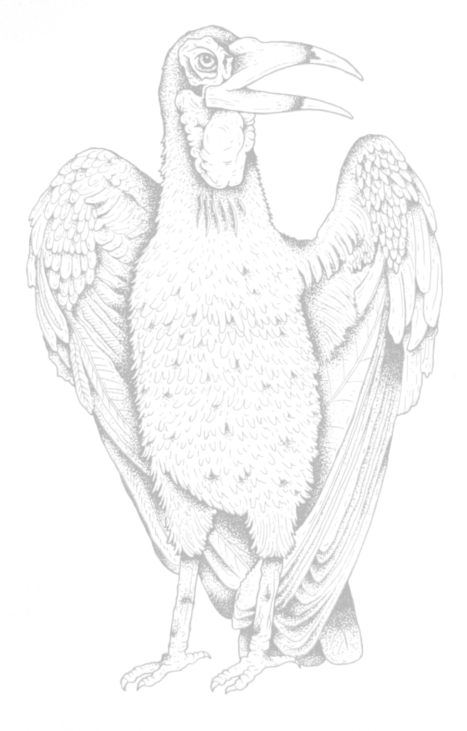 Do - iNsingizi Lodge and Spa